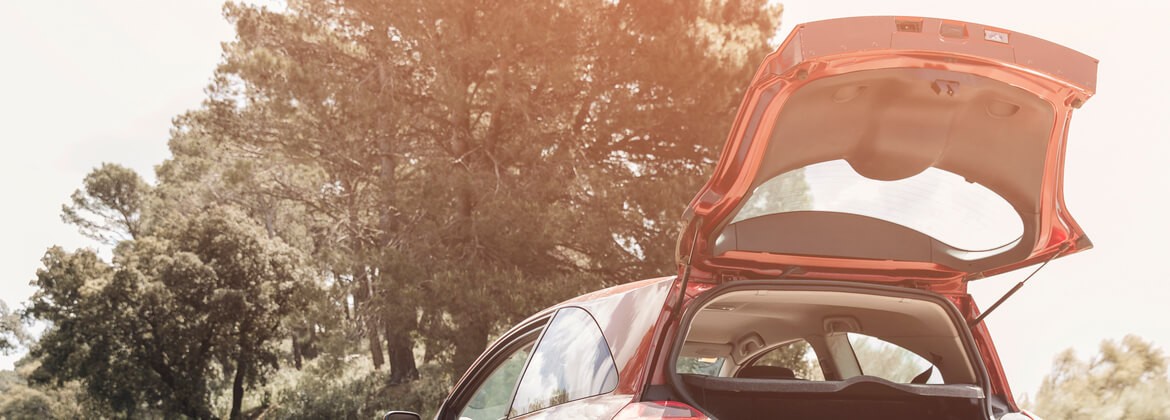 HAYON | Pièce Auto Occasion à prix imbattables - La Pièce Aut'Occasion